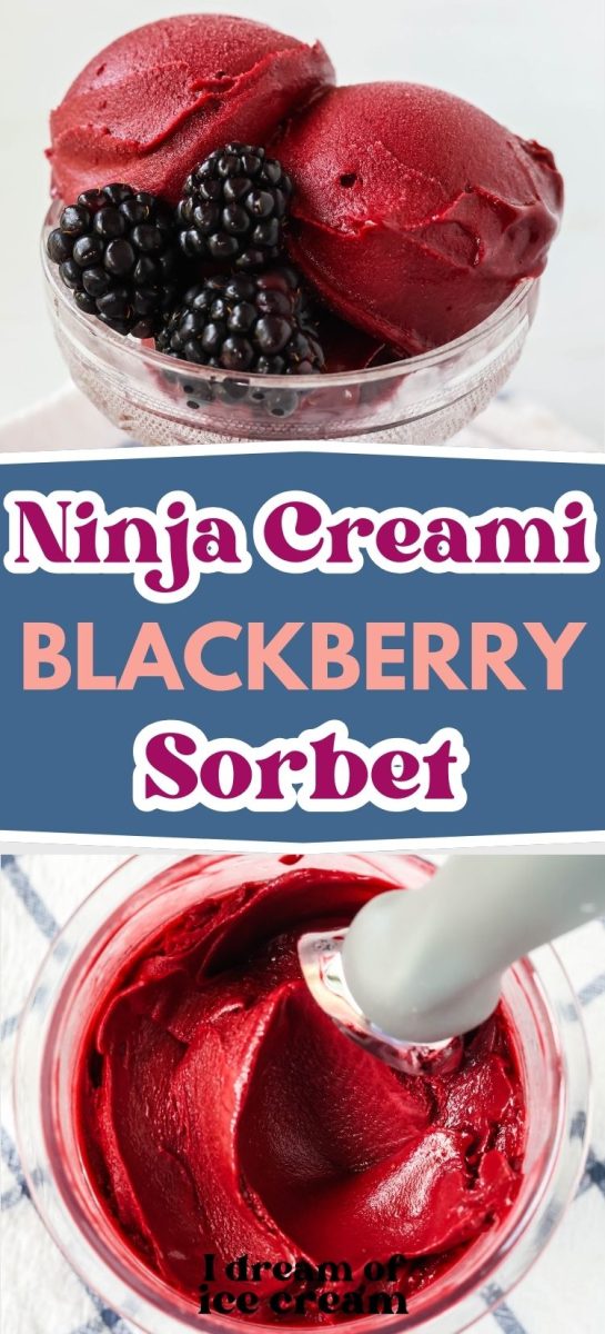 Ninja Creami Blackberry Sorbet - I Dream of Ice Cream