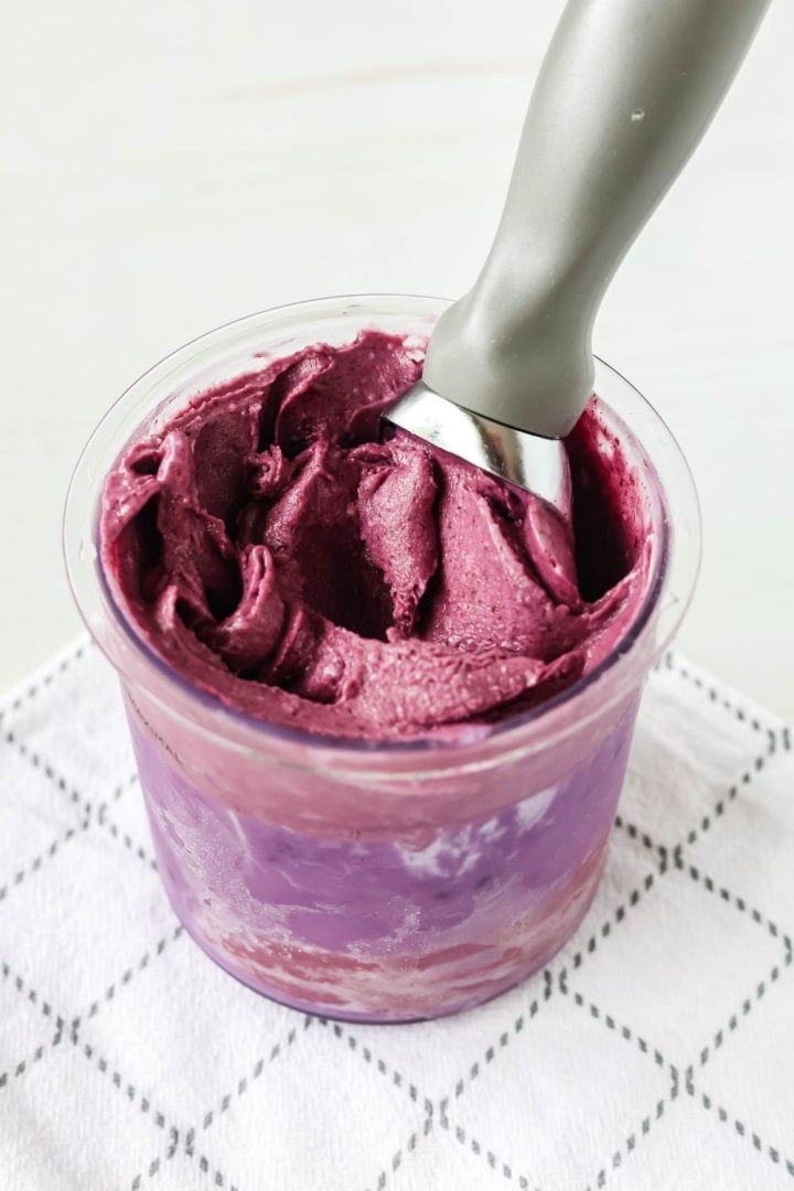 Ninja Creami Blueberry Ice Cream - I Dream of Ice Cream