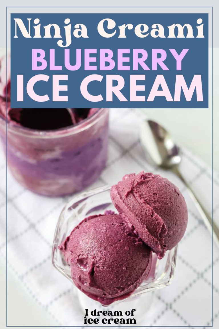 Ninja Creami Blueberry Ice Cream - I Dream of Ice Cream