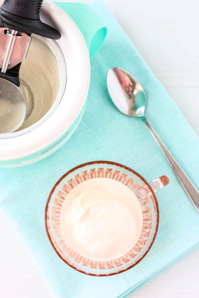 Dash My Mug Vanilla Ice Cream - I Dream of Ice Cream