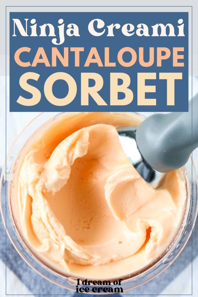 Easy Ninja Creami Cantaloupe Sorbet - I Dream of Ice Cream
