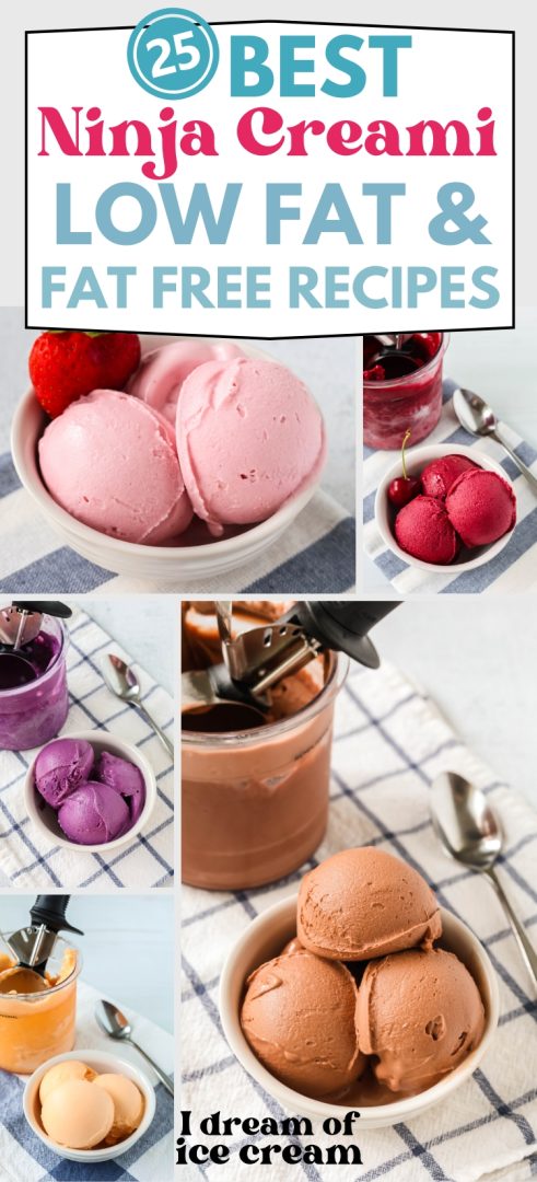 25+ Ninja Creami Low Fat and Fat Free Recipes - I Dream of Ice Cream
