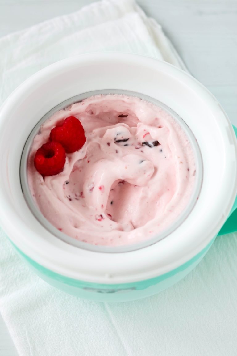 Dash My Mug Raspberry Chocolate Chip Ice Cream - I Dream of Ice Cream
