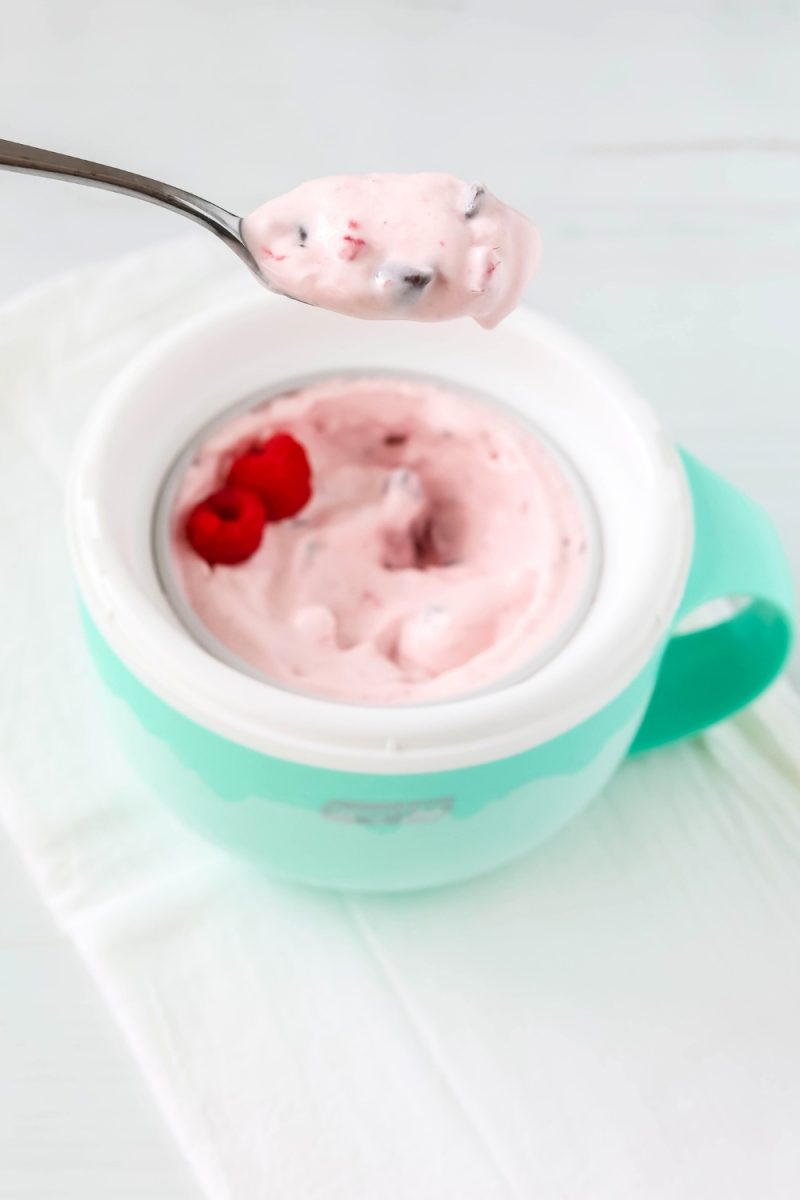 Dash My Mug Raspberry Chocolate Chip Ice Cream - I Dream of Ice Cream