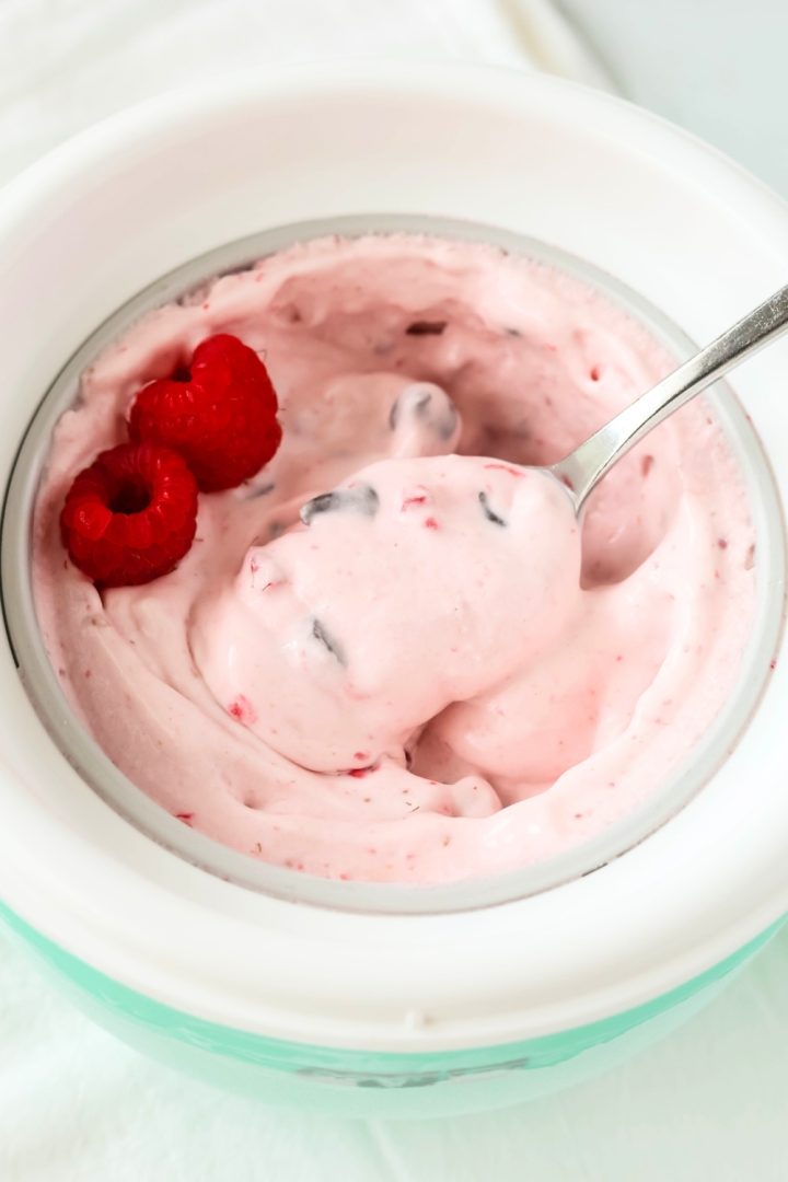 Dash My Mug Raspberry Chocolate Chip Ice Cream - I Dream of Ice Cream